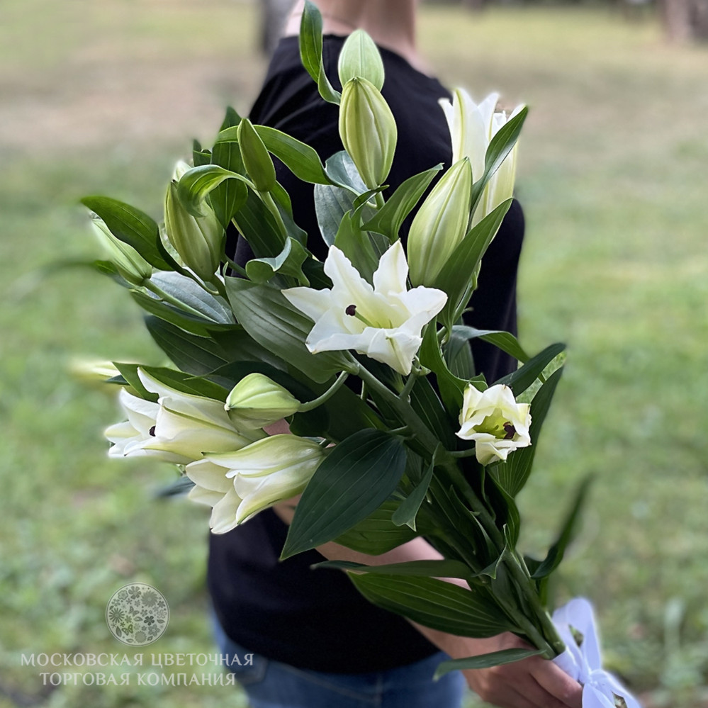 Букет 3 лилии Белая красавица купить за 3 150 руб. с круглосуточной ...